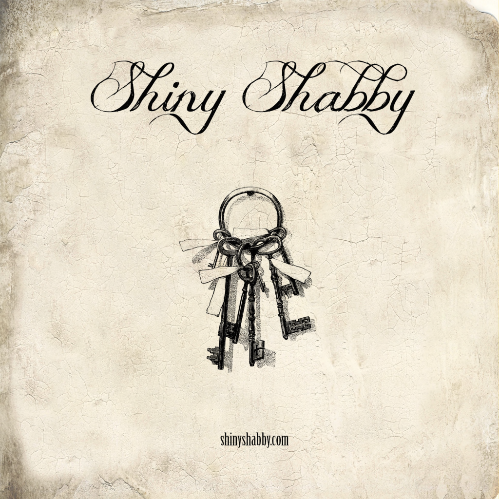 Shiny Shabby Logo | DeeTaleZ – Digital Avatar Artistry